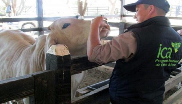 ⊛ Certificado ICA en Colombia【2026